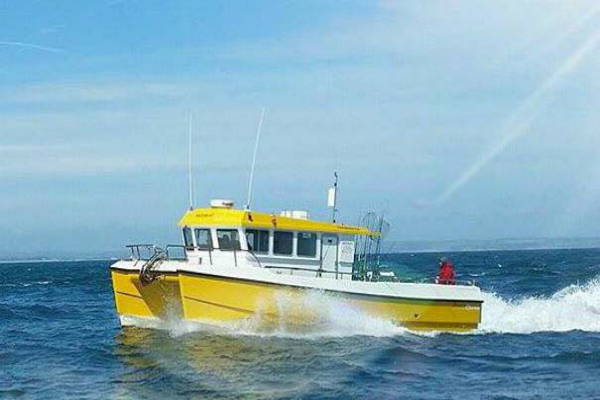 Charter Boat Species Hunt 2025 – Species League